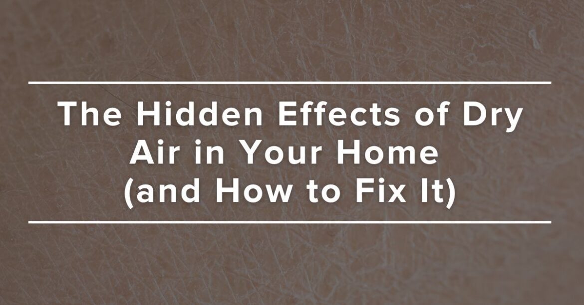 The Hidden Effects of Dry Air in Your Home (and How to Fix It ...
